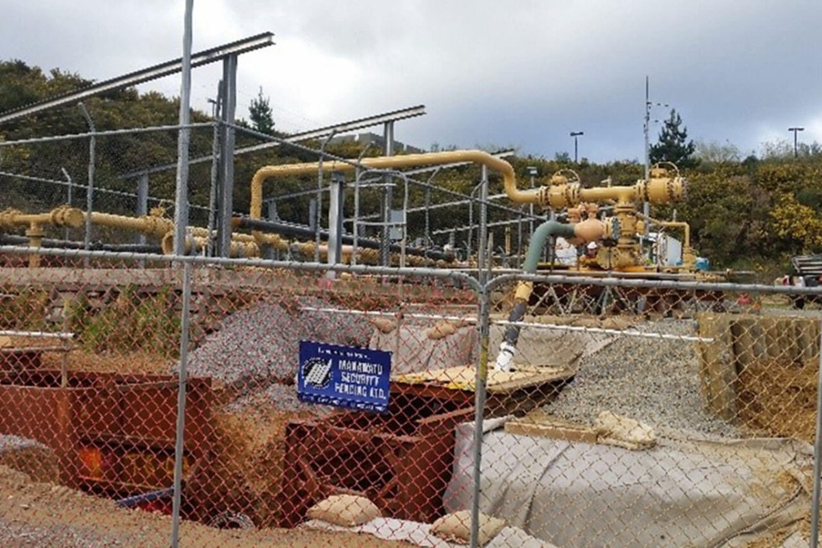 111-Line Piggability - Verbrec